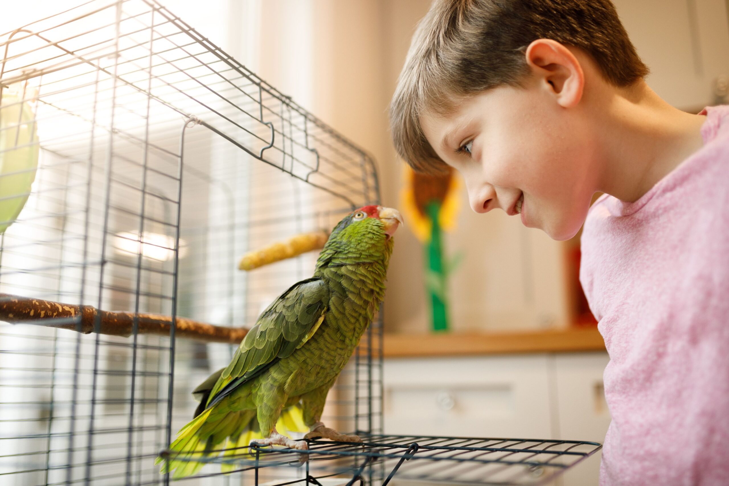 Husbandry Care for Birds | Ten West Bird & Animal Hospital | Ten West ...